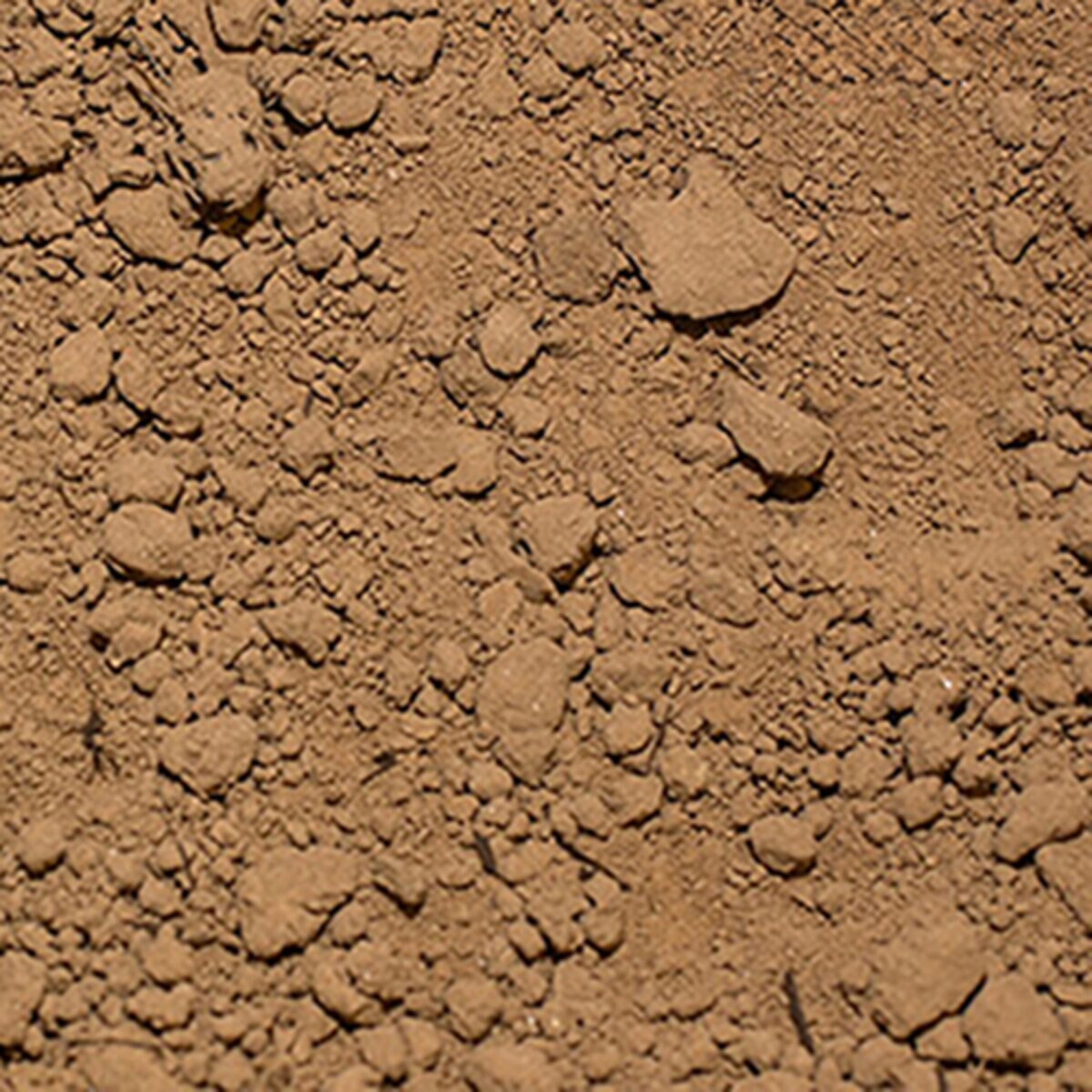 Whittlesey Screened Loam Bulk (per cu. yd.) | SiteOne