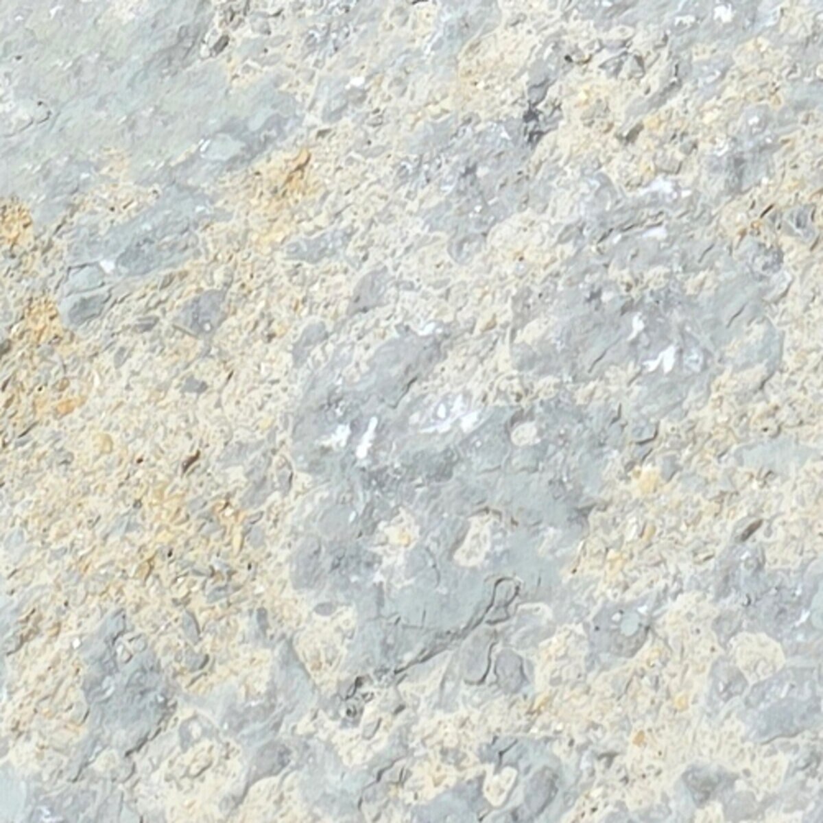 Flagstone Bluestone Select Blue Thermal Irregular Stand-Up 1 1/2 in ...