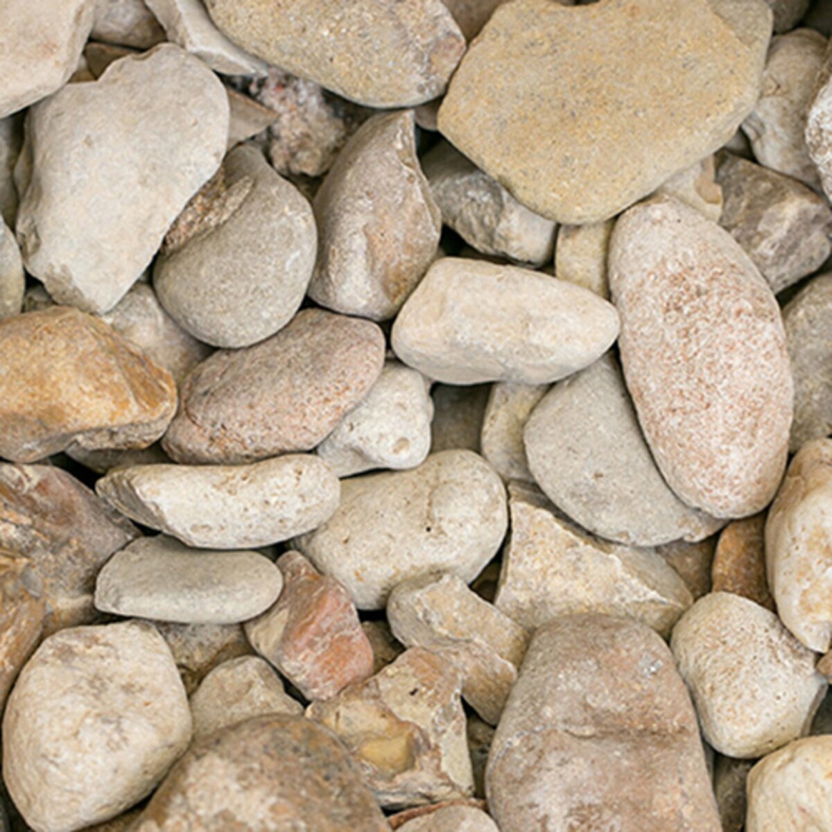 Bagged Whittlesey River Rock 2 in. | SiteOne US