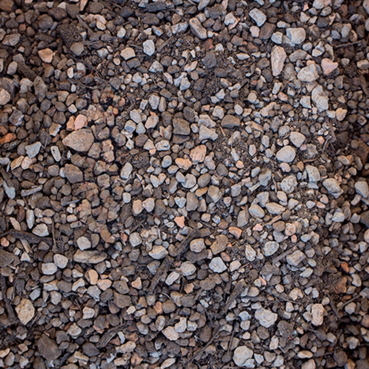 Whittlesey Expanded Shale (40 lb. Bag) | SiteOne US