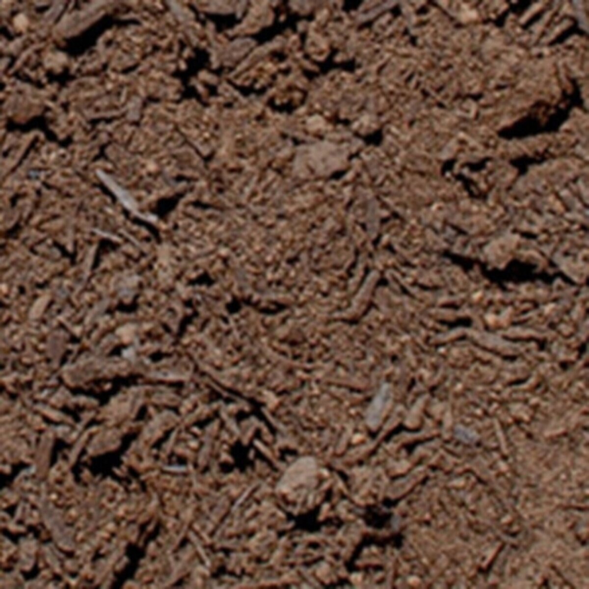 ELC Enriched Top Soil Bulk (per cu. yd.) | SiteOne US