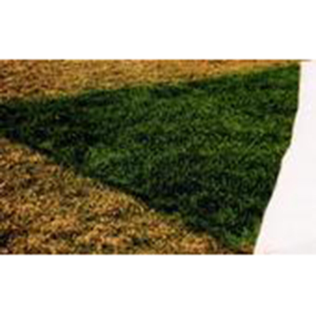 Turf Blanket 60 ft. x 90 ft | SiteOne US