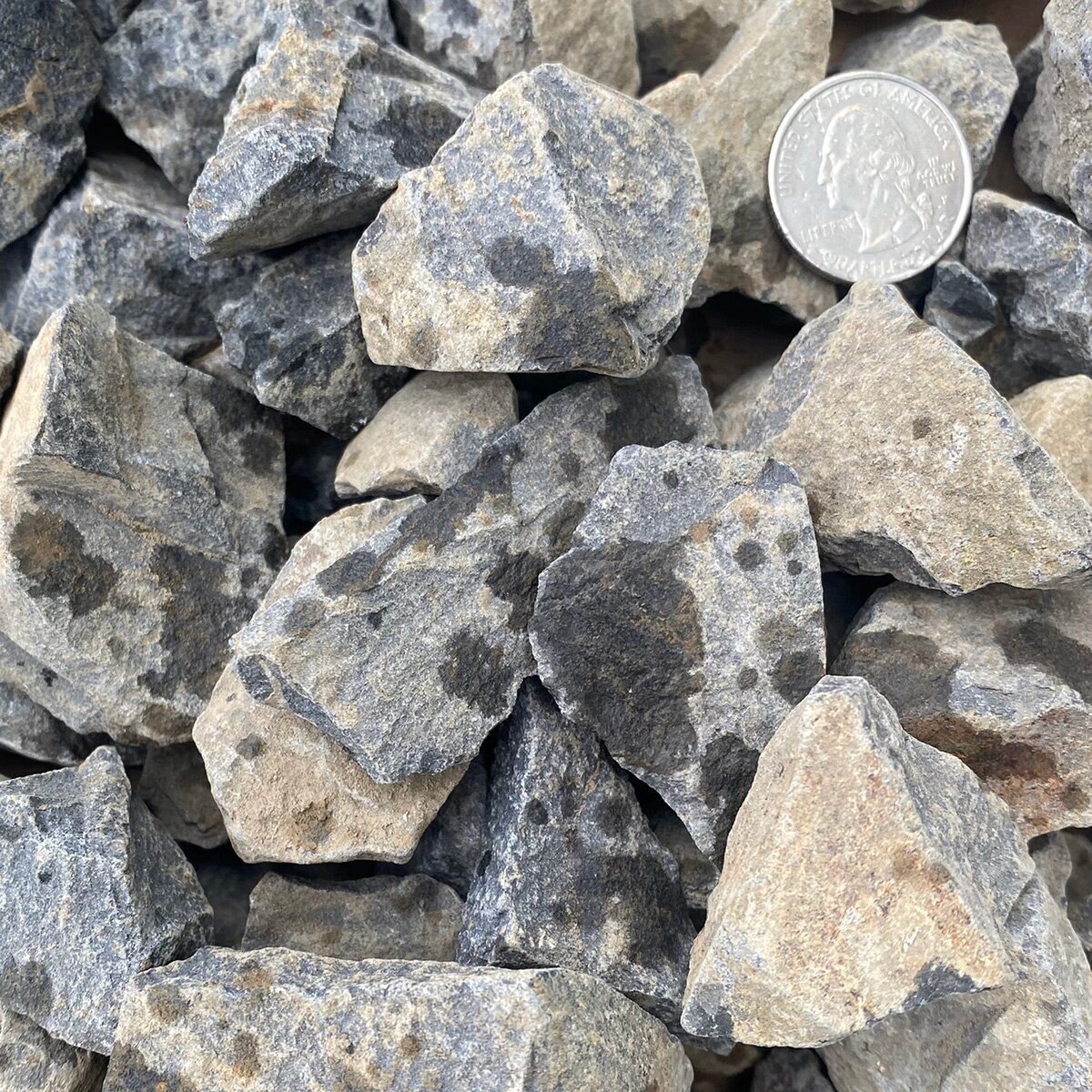 Bulk Basalt Chip Gravel 1 1/4 in | SiteOne US