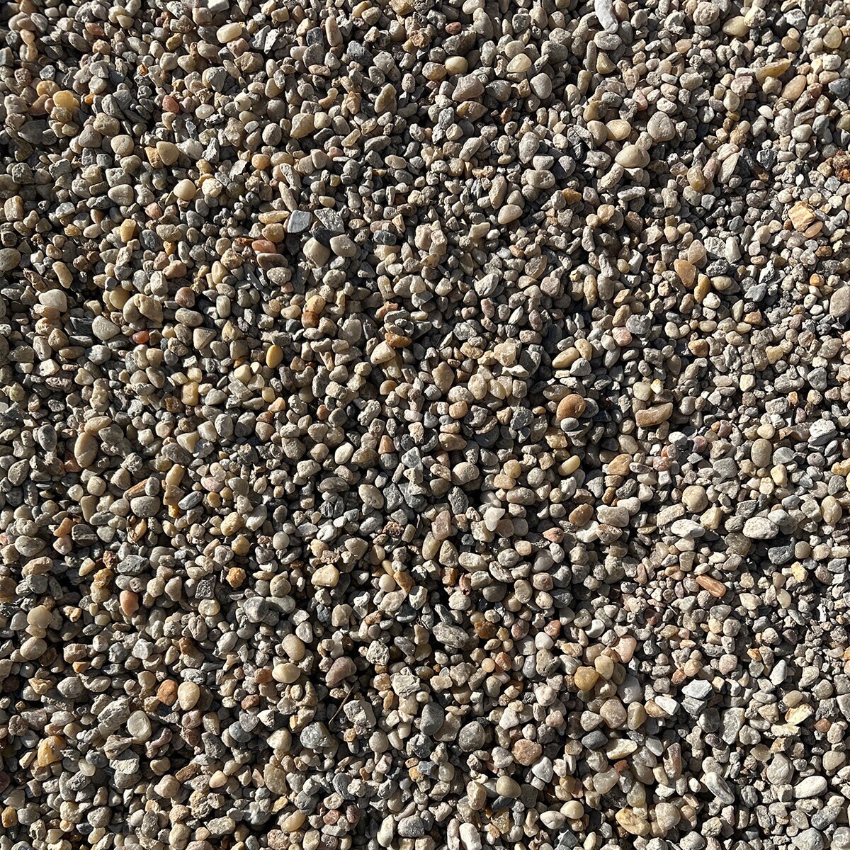 Bulk Coastal Cobble Gravel Pea | SiteOne US