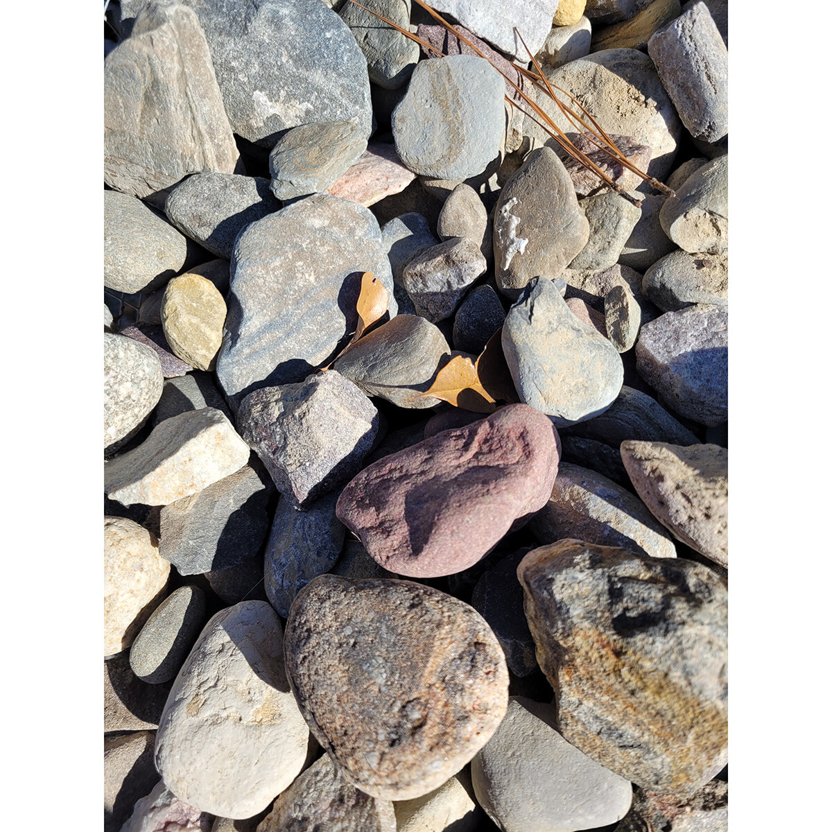 Palletized River Rock Pennsylvania Blend 1 - 3 in | SiteOne US