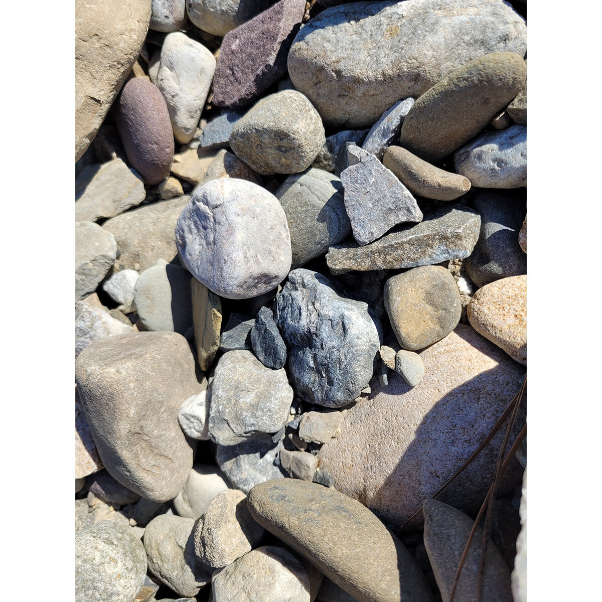 Palletized River Rock Pennsylvania Blend 1 - 3 in | SiteOne US