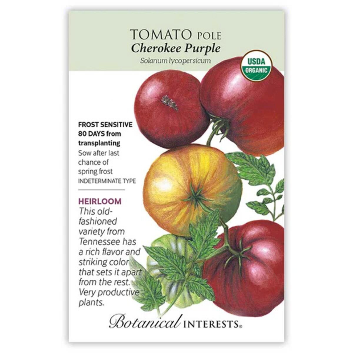 Tomato Pole Vegetable Seed Cherokee Purple Organic 25 seeds | SiteOne