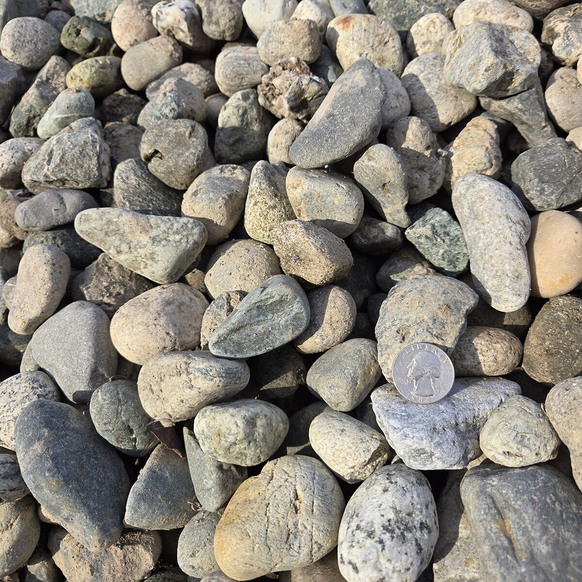 Bulk Drain Rock Marysville Washed NW Blend 1 1/2 in | SiteOne US