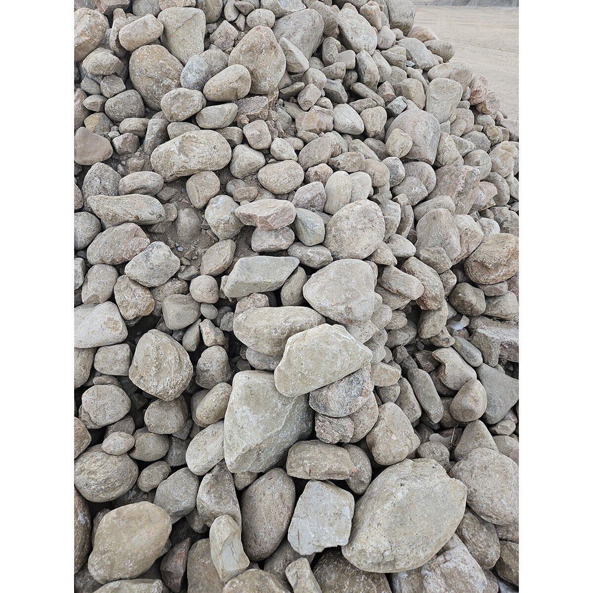 Outcropping Brecken Gold Plt 12 - 36 in | SiteOne US