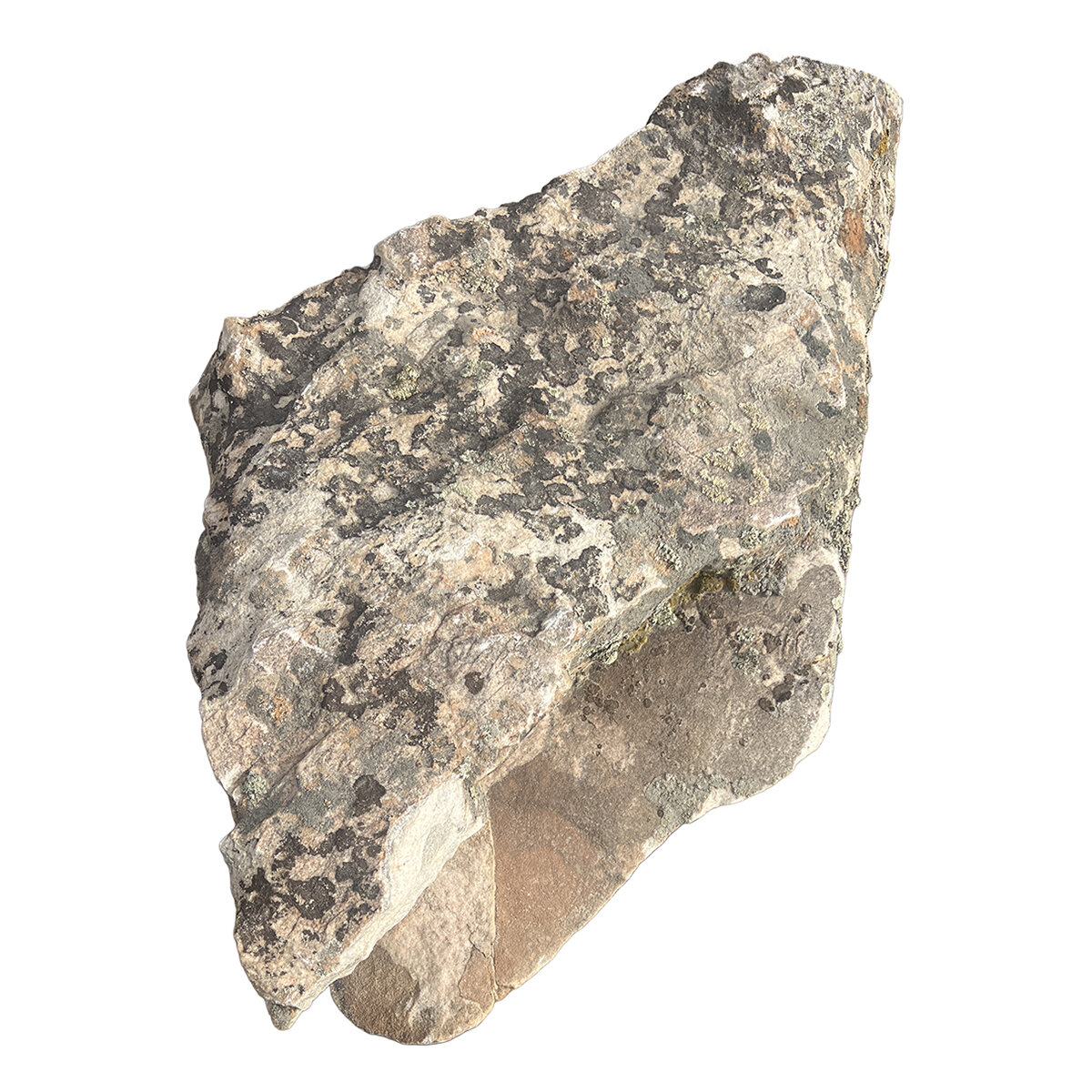 Building Stone Rawlins Moss Rock Wall | SiteOne US