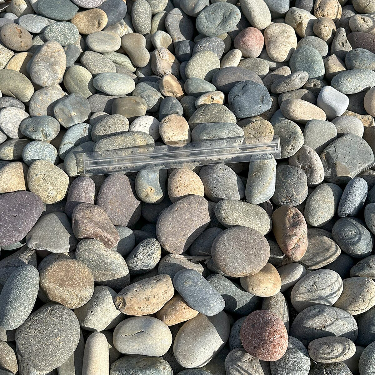 Bulk Multi-Colored Mexican Beach Pebbles 2 in. - 3in | SiteOne US
