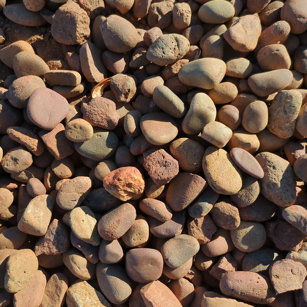 Bagged Mexican Sunburst Pebbles 1/2 - 1 in. (75 lb. Bag) | SiteOne US