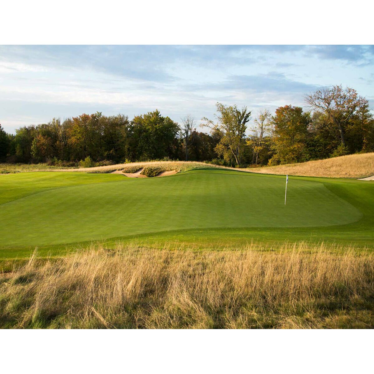 Pure Eclipse Creeping Bentgrass Seed 25 lb | SiteOne US