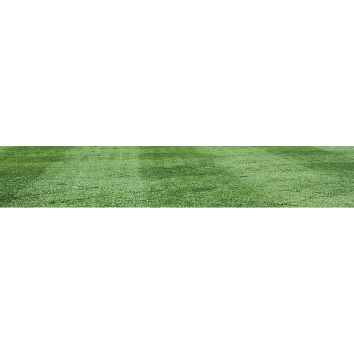 Firecracker GLS Tall Fescue 50 lb | SiteOne US