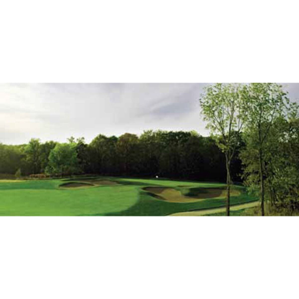 007 Creeping Bentgrass Seed 25 lb | SiteOne US