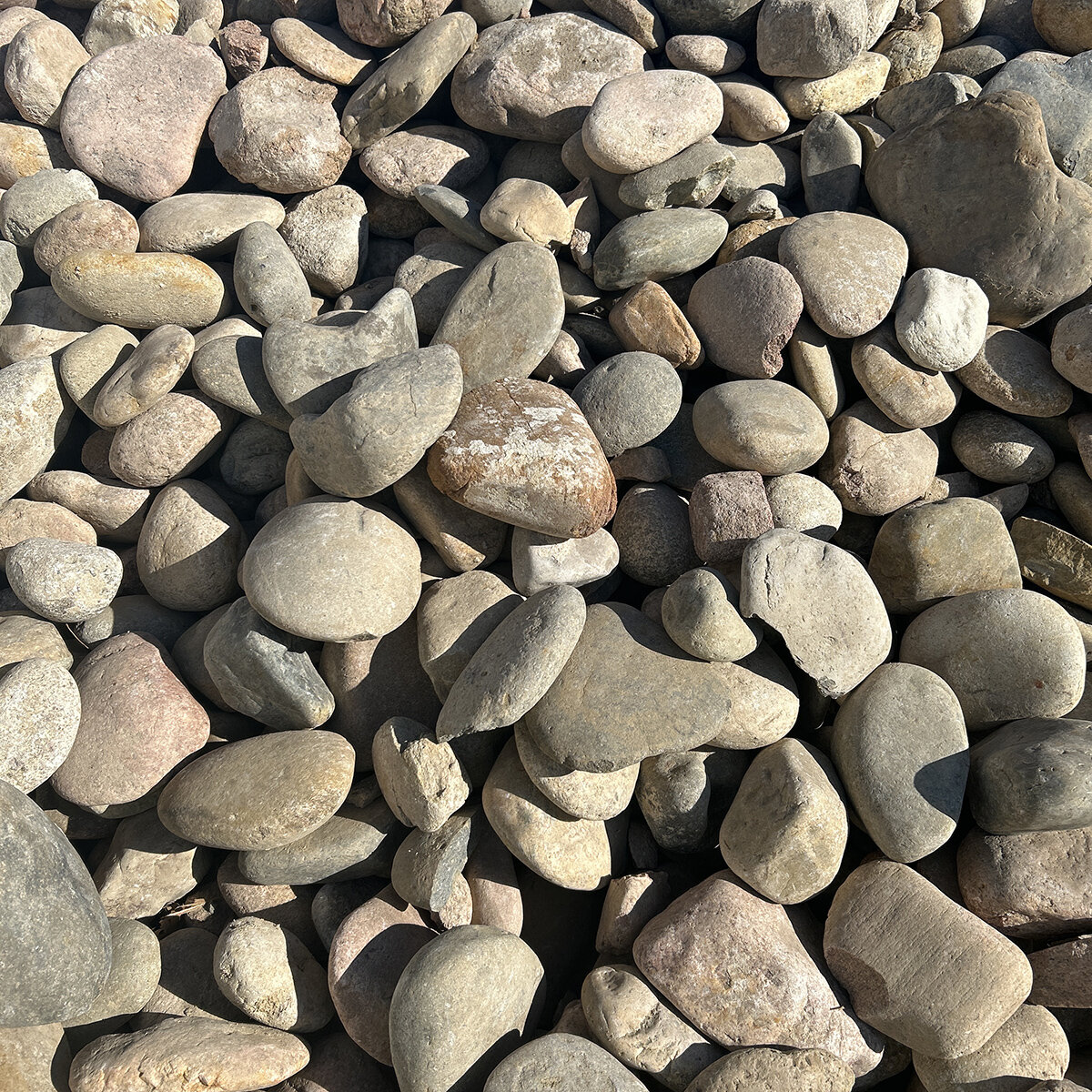 Bulk River Rock Colorado 4 - 8 in | SiteOne US