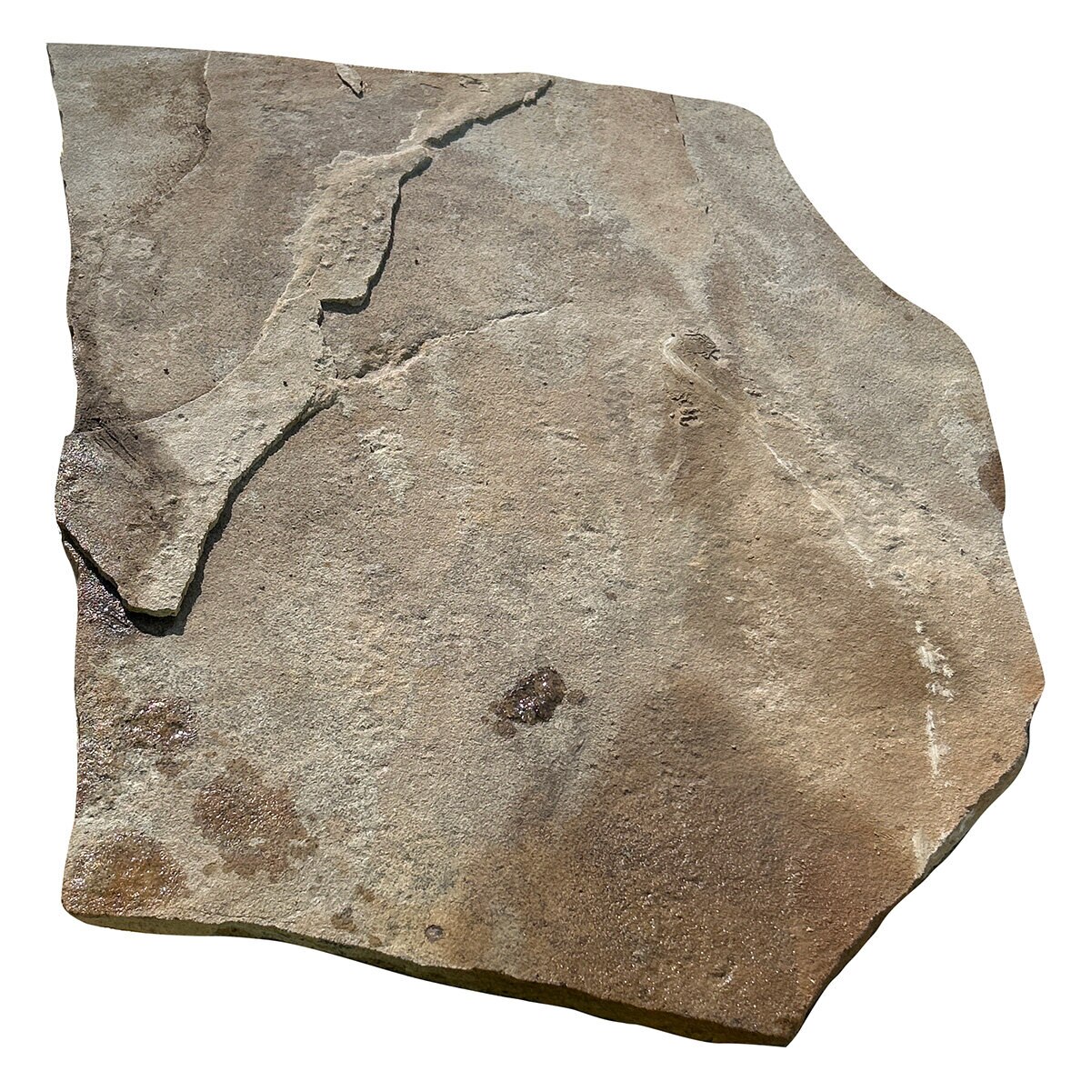 Flagstone Colorado Buff Select 1 1/4 - 1 3/4 in | SiteOne US