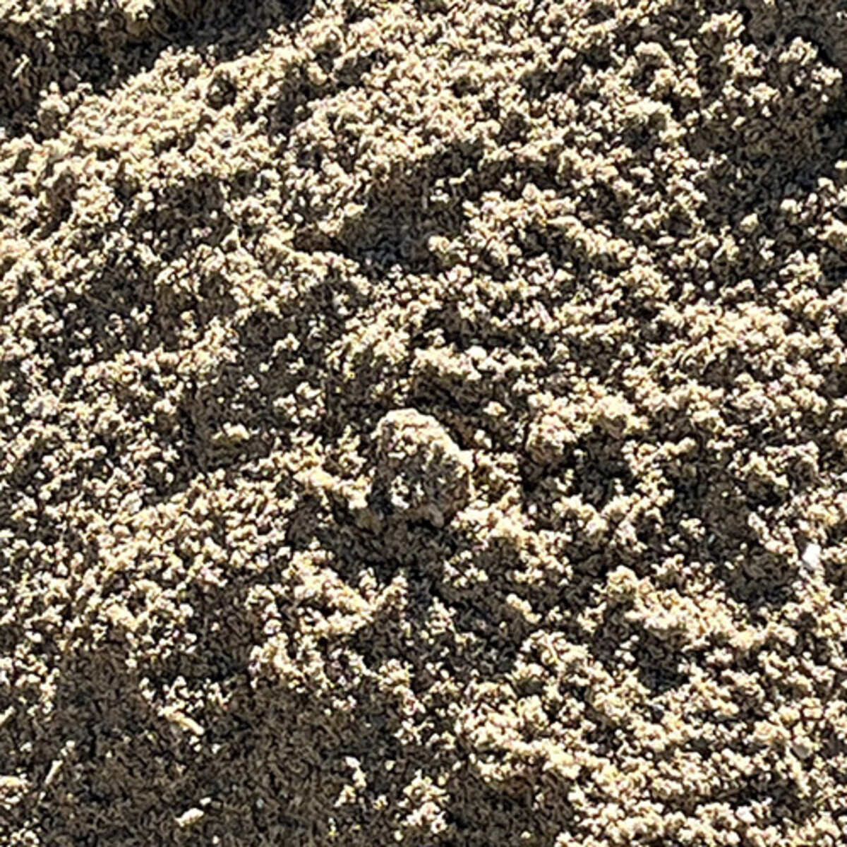 Bulk Concrete Sand | SiteOne US