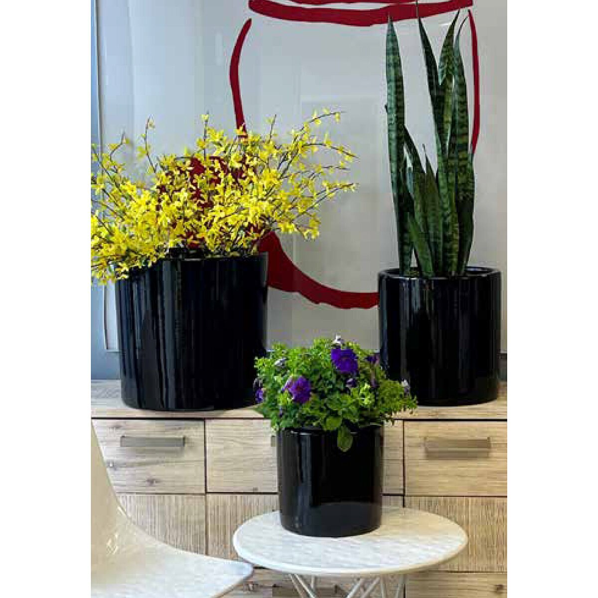 Pacific Planter Dracaena Med Sable Black 13 in. x 13 in | SiteOne US
