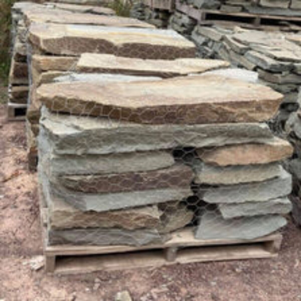 Slabs Bluestone Colonial Steppers Side-by- Sides 2 - 4 in | SiteOne US