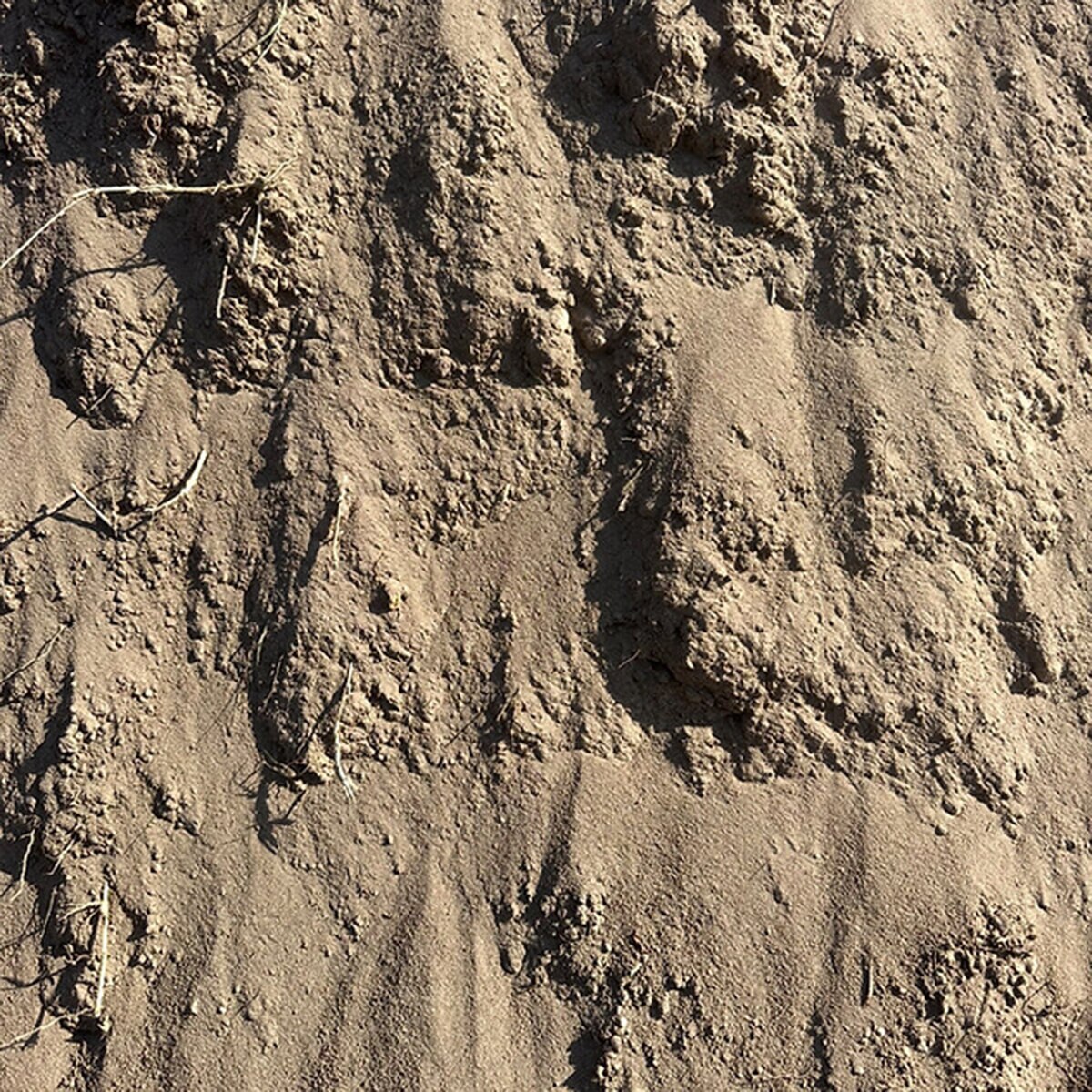 Screened Sandy Loam Top Soil Bulk (per cu. yd.) | SiteOne US