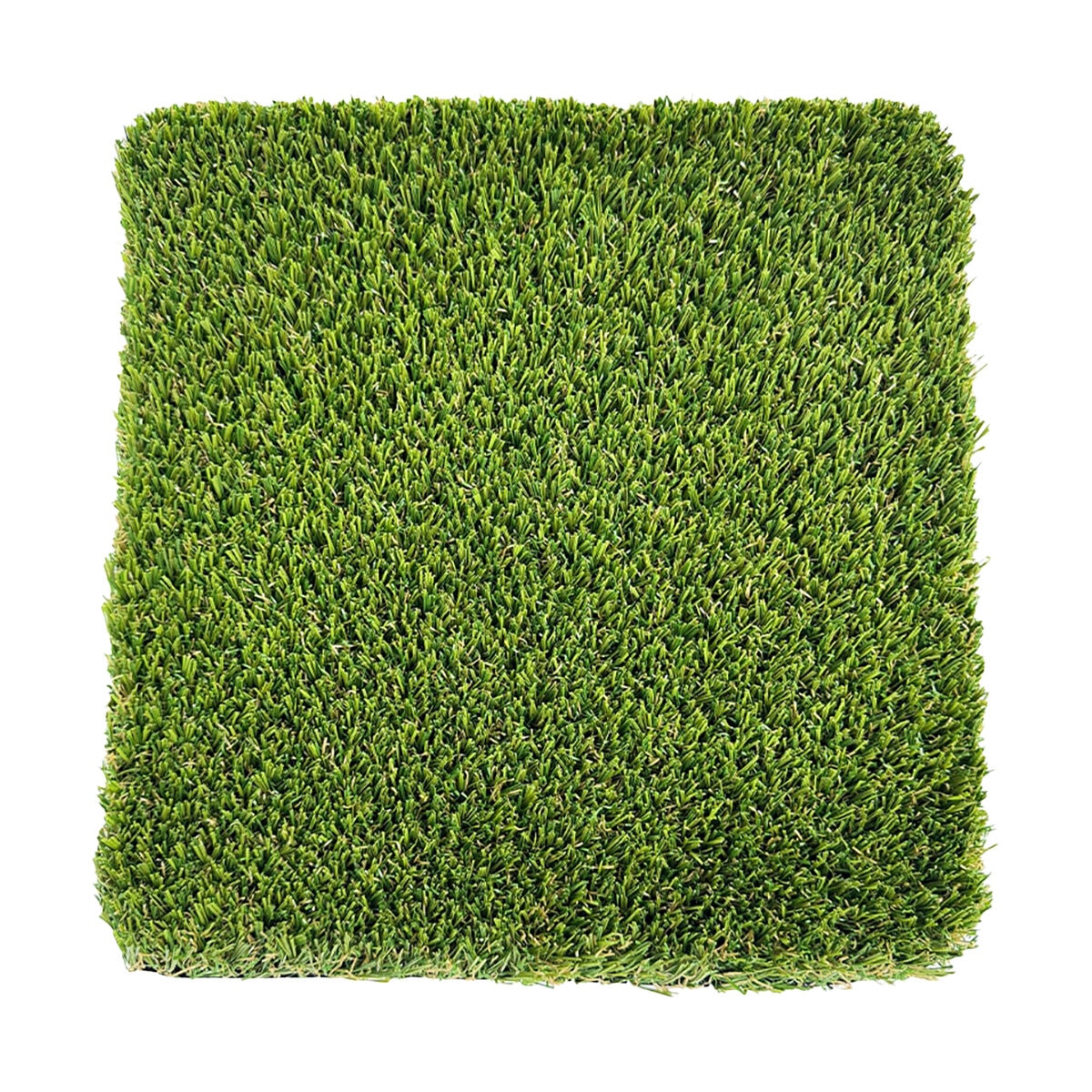Integriturf Synthetic Turf Kennel Pro "Go Flow" 1 in. 50 oz | SiteOne US