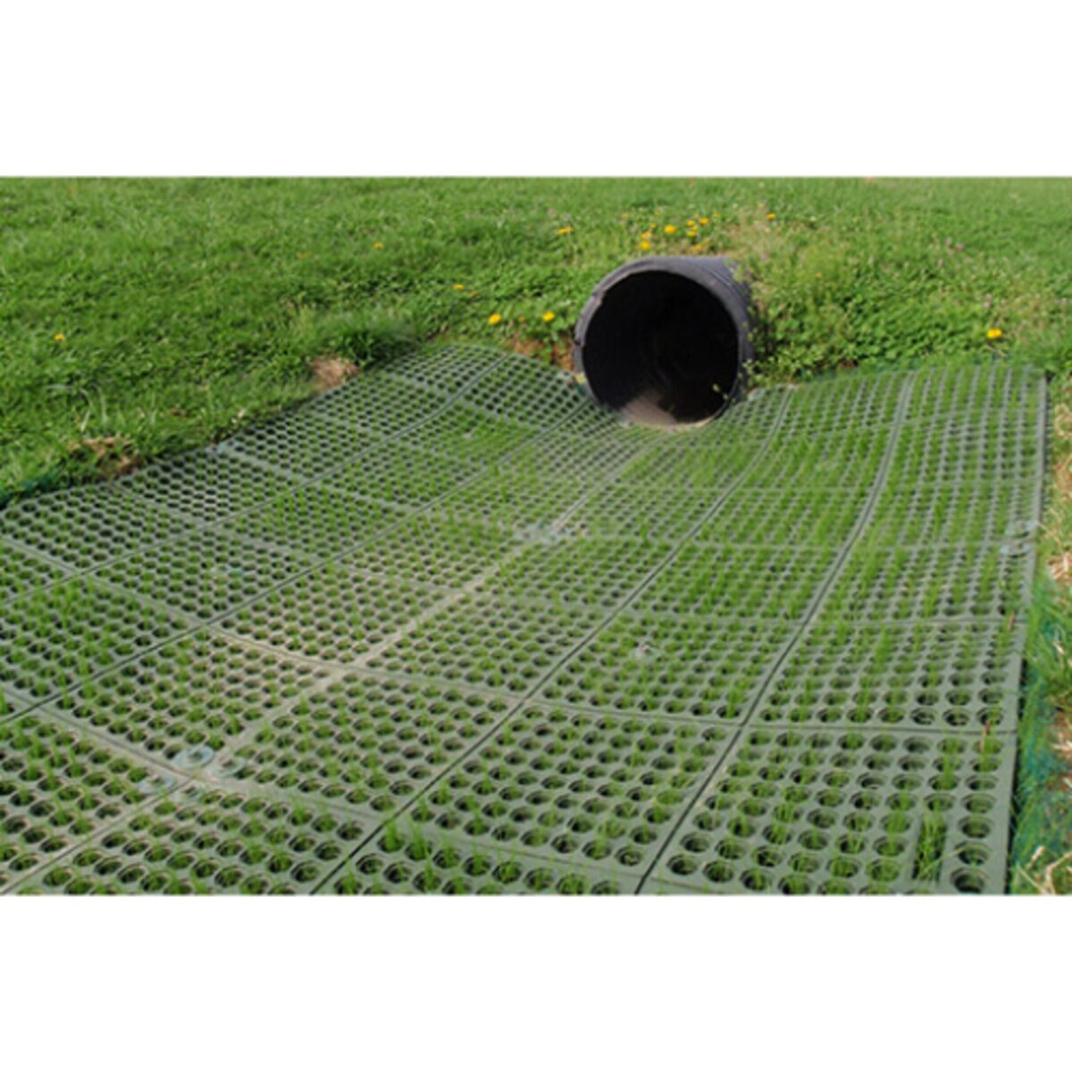 Western Green ShoreMax Transition Mat 3 ft. x 5 ft | SiteOne US