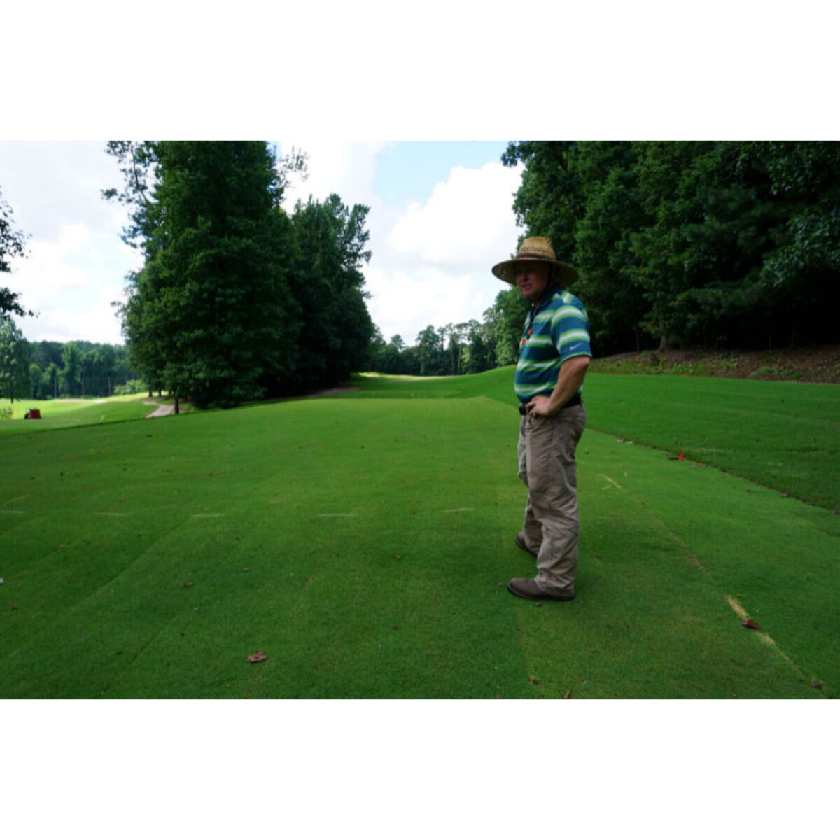 Zoysia Sod Prizm Zoysiagrass (per sq. ft.) | SiteOne US