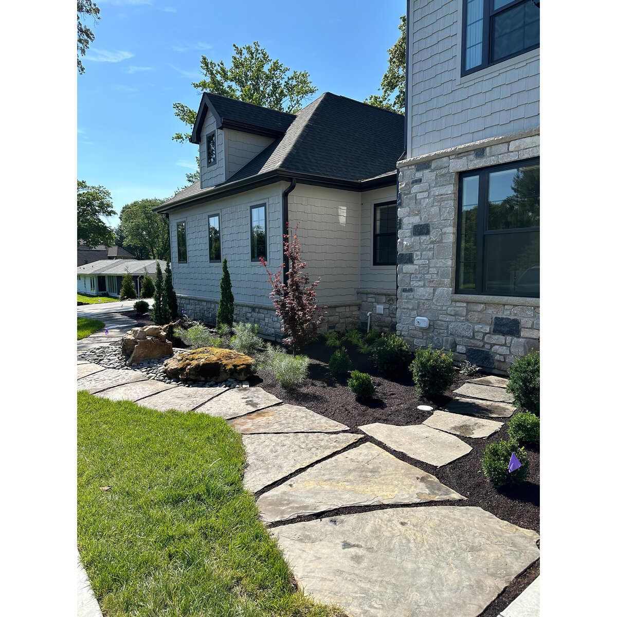 Juniperus virginiana Taylor Eastern Red Cedar | SiteOne US