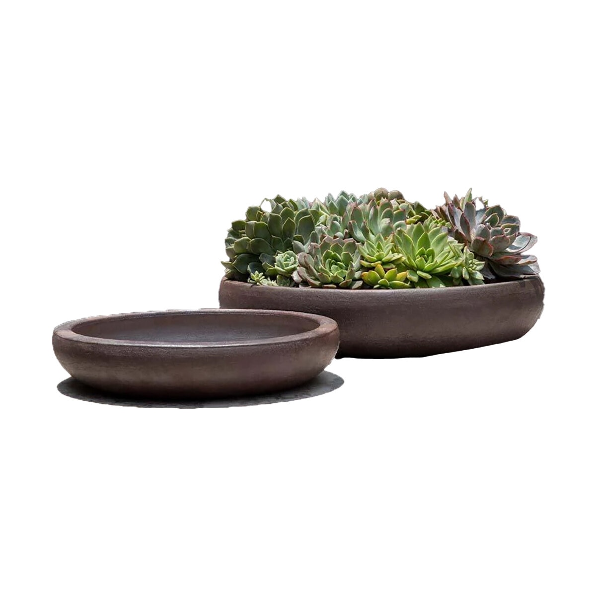 Nico Bowl Earthenware Small 13 in. x 2-3/4 in | SiteOne US