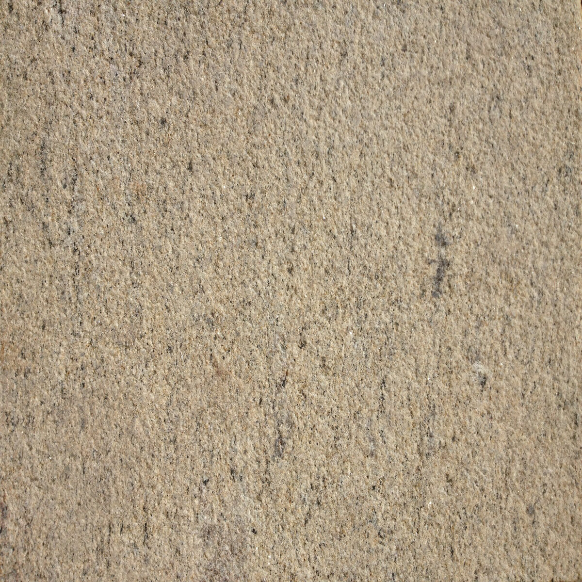 Dimensional Silver Ridge Granite 1 1/4 in. x 24 in. x 24 in | SiteOne US