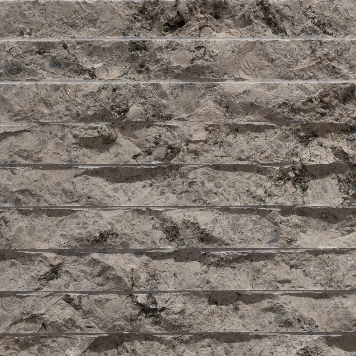 Cladding Pamplona Gray Limestone Wide Split & Combed Fi | SiteOne