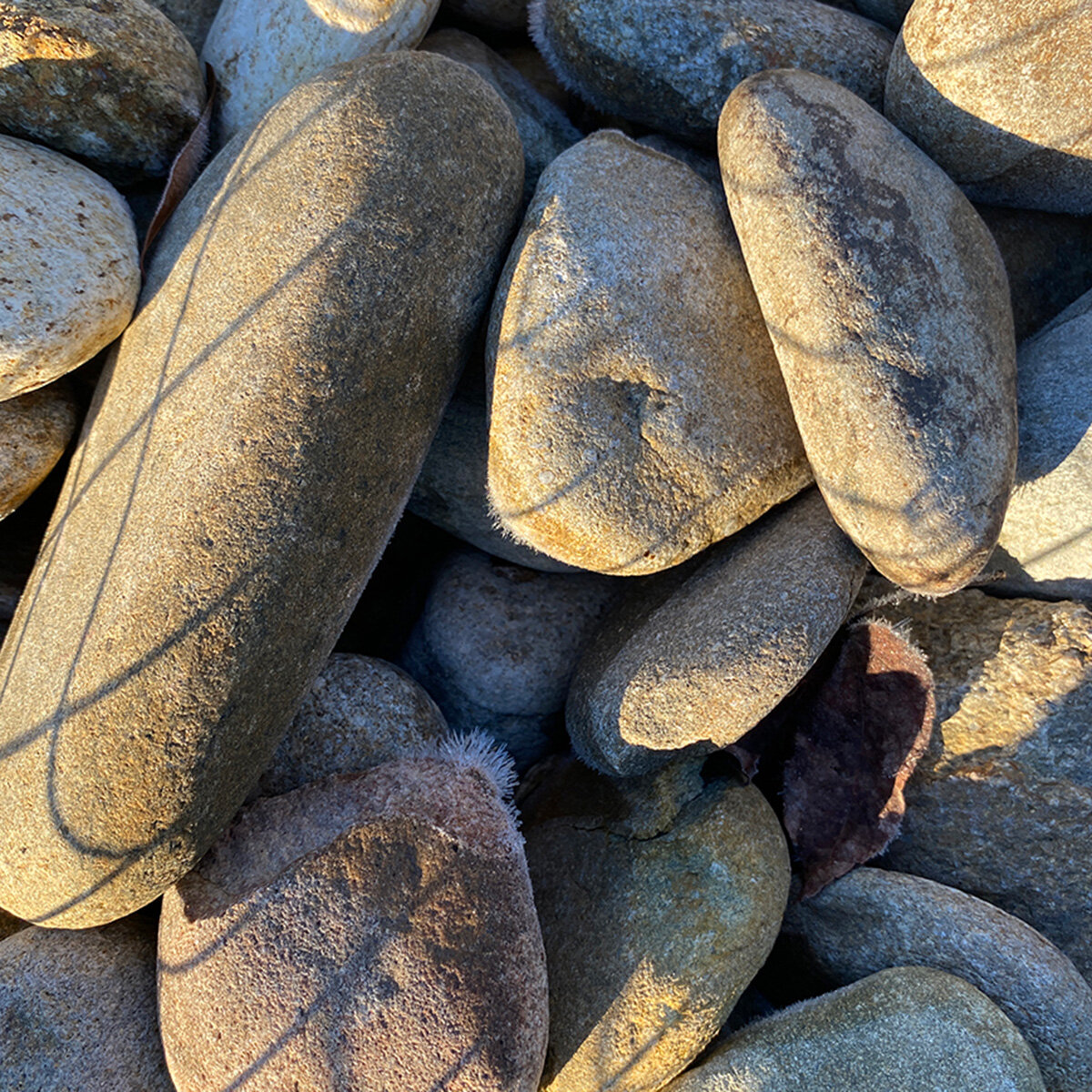 Palletized River Rock Tennessee Rounds 1 1/2 - 3 in | SiteOne US