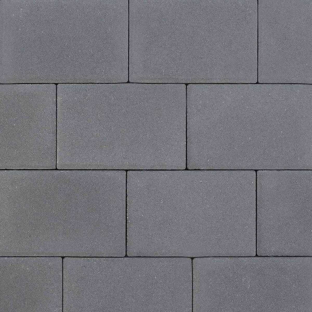 Nicolock Coastal Cap 12 in. x 24 in. Charcoal 2-3/8 in. | SiteOne