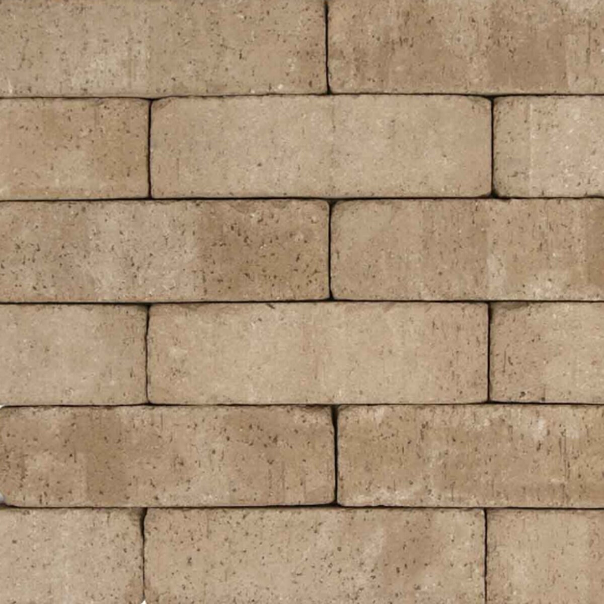 H.C. Muddox Coastal Series Modular Brick Solids Birch 3-5/8 in. x 2-1/4 ...