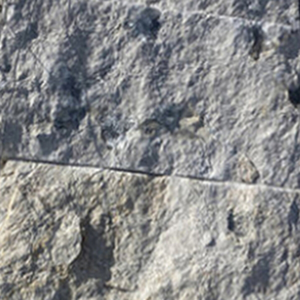 Ledge Rock Glacier Ridge Marble (14 in. Snapped) 12 in. Sawn Height ...