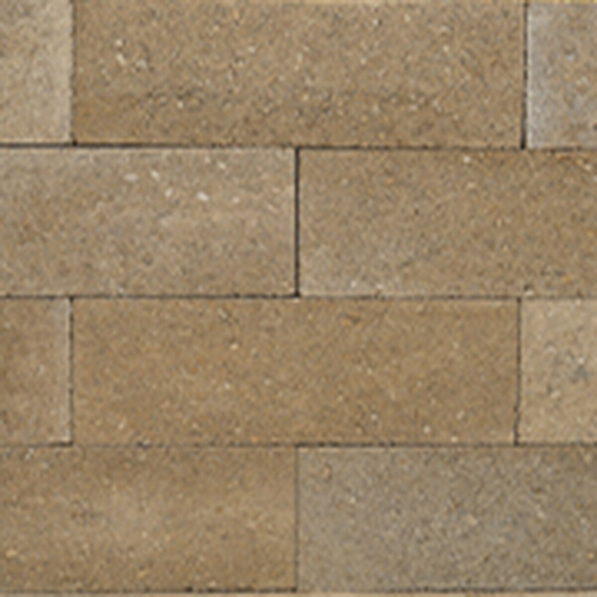 Oberfields Edington Wall Wedge Non-Tumbled Driftwood 12 in. x 8 in. x 4 ...