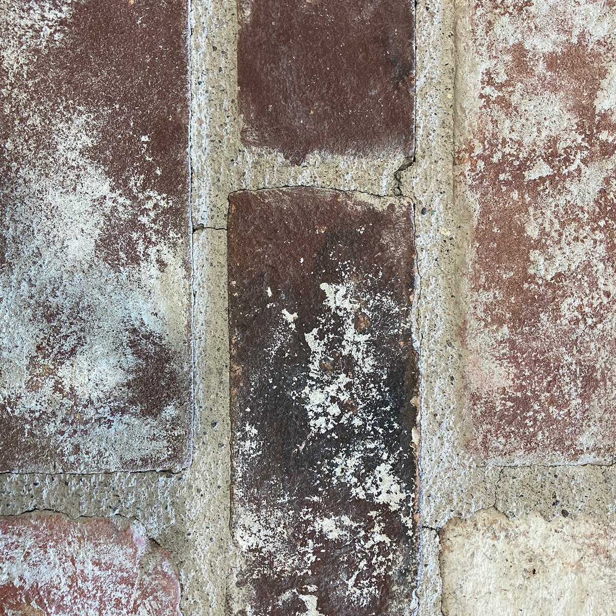 Old Texas Queen Size Full Brick Old San Luis 2-3/4 in. x 7-1/2 in. x 2 ...