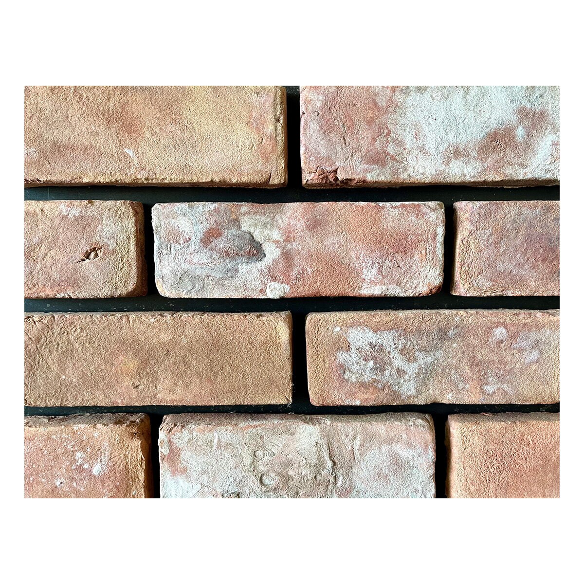 Old Texas Modular Size Thin Brick Dusty Gold Red Corners 2-1/4 in. x 7 ...