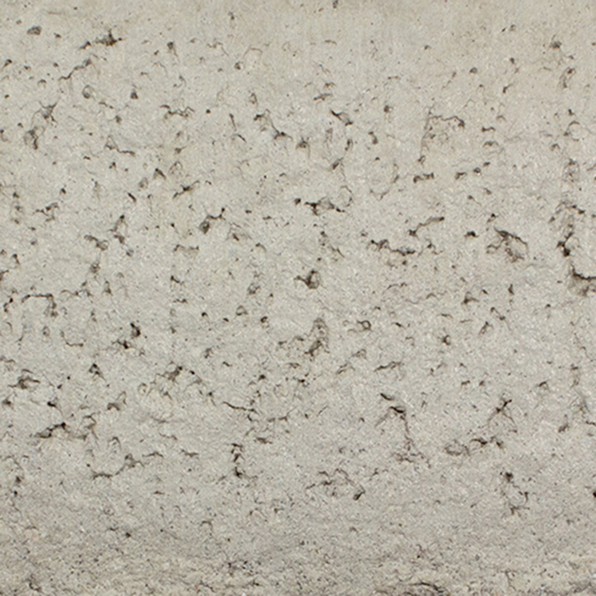 Orco Block 6 in. x 2 in. x 16 in. Slump Cap Gray (240 pc./pallet) 6216 | SiteOne