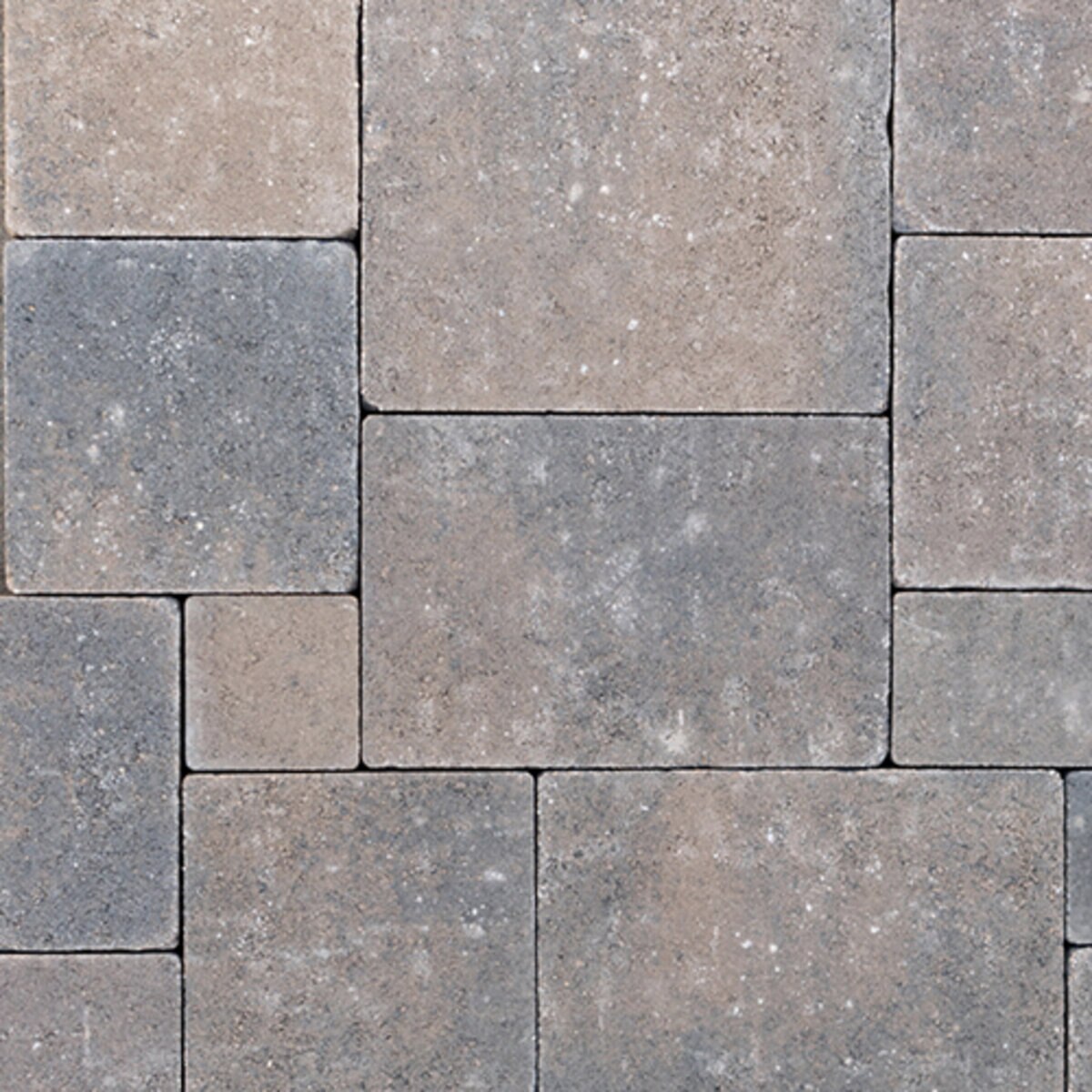 Orco Mediterranean Cobble Paver 4 in. x 8 in. Chateau 60 mm (124 sq. ft ...