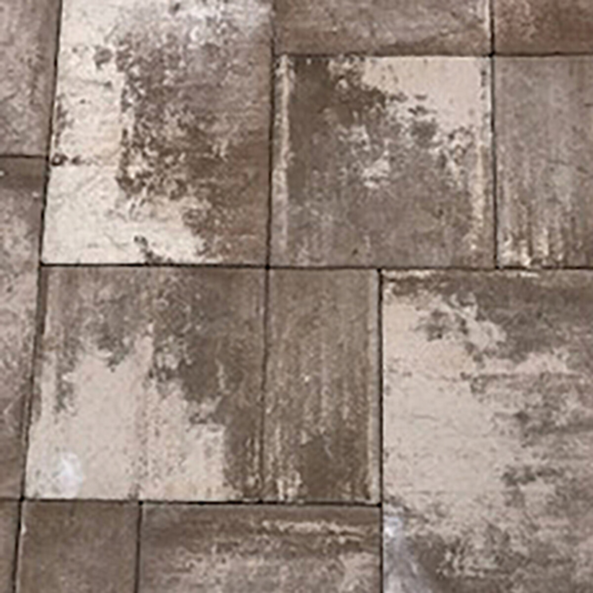 Keystone Panorama Supra Paver 3 pc. Combo 8x16, 16x16, 16x24 Cafe 60 mm ...