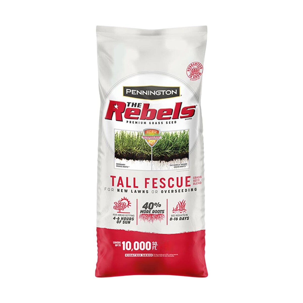 Rebel V Tall Fescue Seed (Cert) 50 lb | SiteOne US