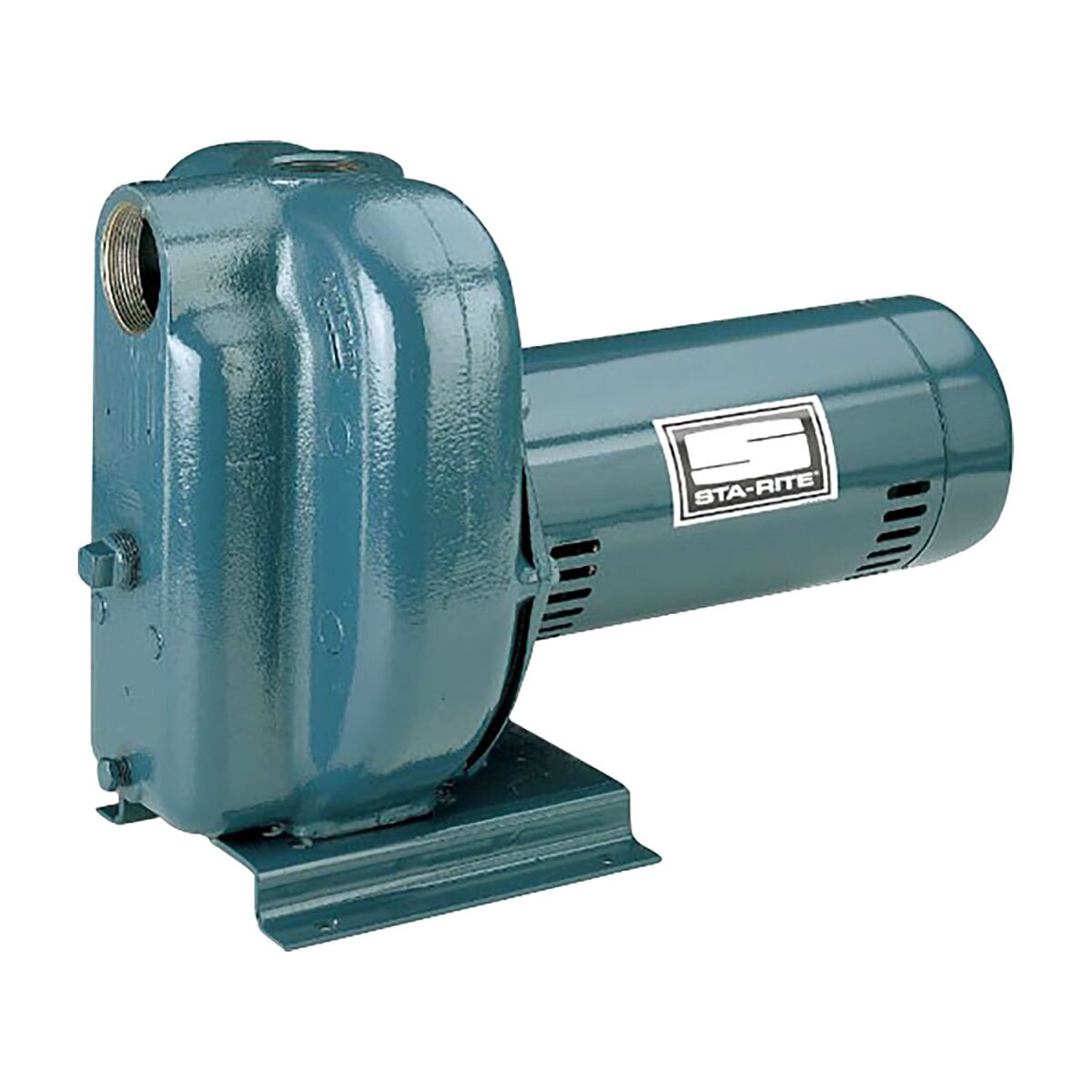 Pentair Sta-Rite Self-Priming Centrifugal Pump 2.5 HP 230V w/ CDP Motor ...