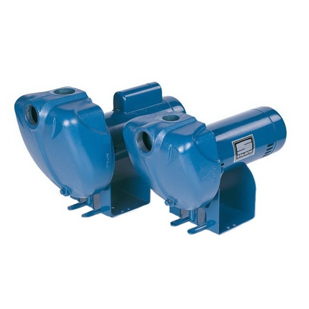 Sta-Rite DS3 Self-Priming Centrifugal Pump Cast Iron 115V/230V 1-1/2 HP ...