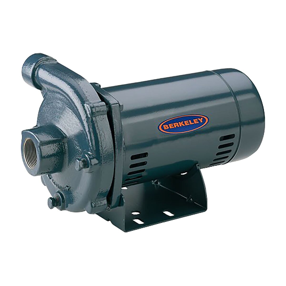 Pentair Berkeley Medium Head Centrifugal Pump 2 HP | SiteOne