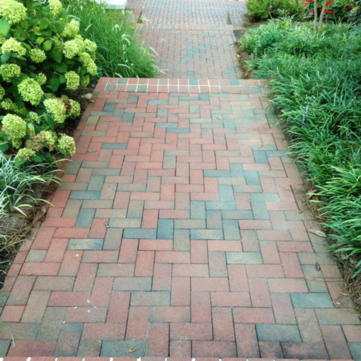 Pine Hall Pathway Paver Square Edge Modular Full Range Red Flash 3-5/8 ...