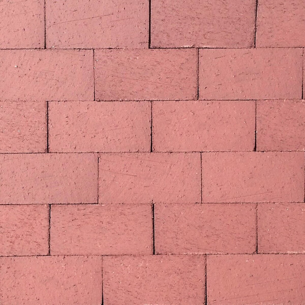 Pine Hall Pathway Paver Square Edge Modular Red 3-5/8 in. x 7-5/8 in. x ...