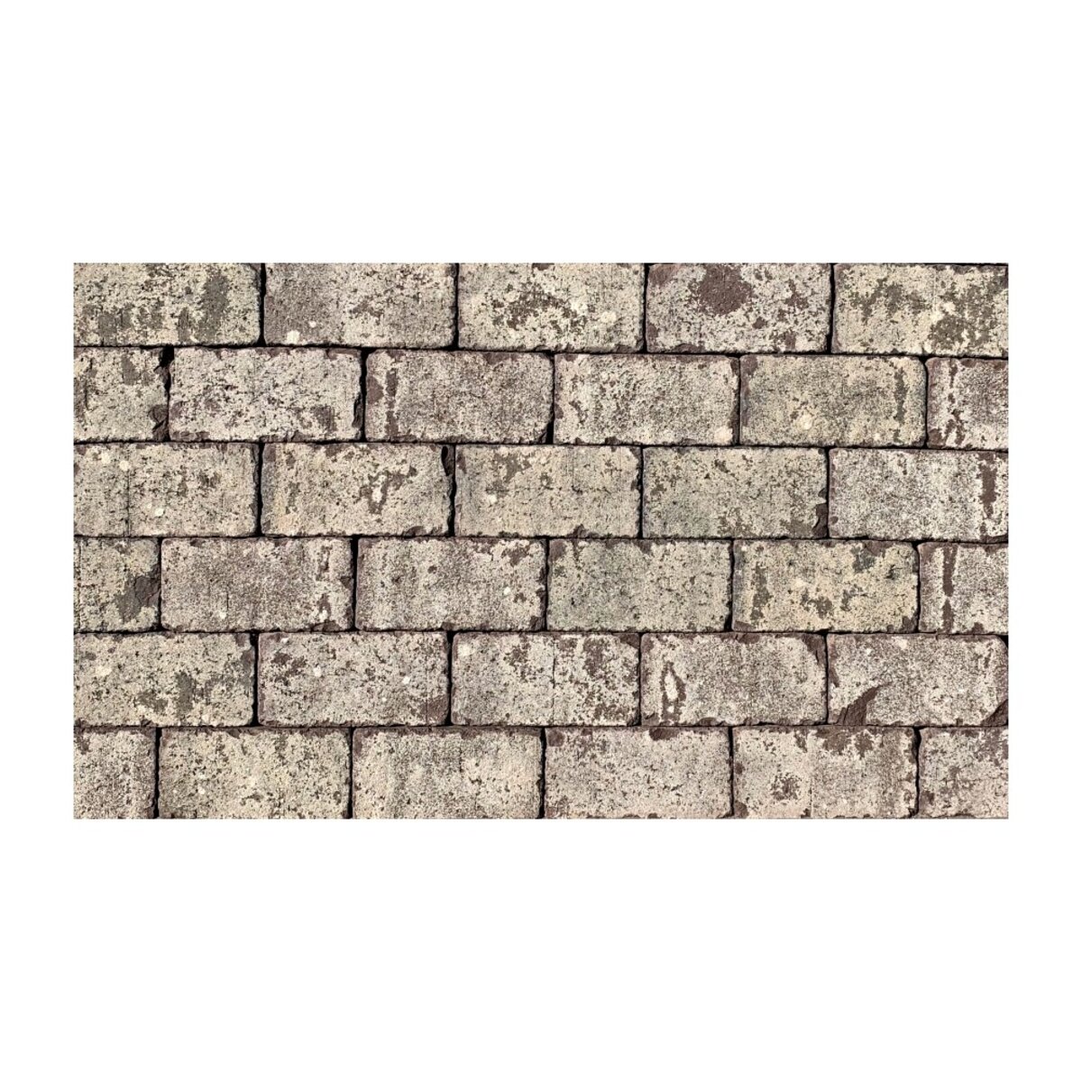 Pine Hall Rumbled Paver Bluffs 4 in. X 8 in. X 2 - 1/4 in. (104 sq. ft ...