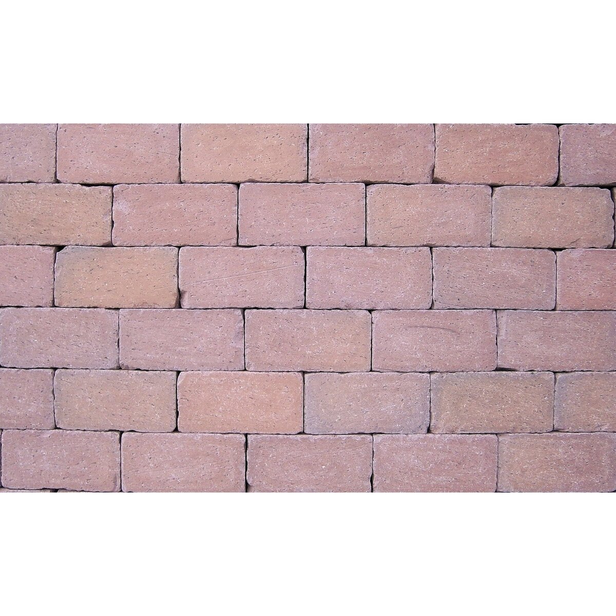Pine Hall Rumbled Paver Rose 4 in. x 8 in. x 2-1/4 in. (104 sq. ft ...
